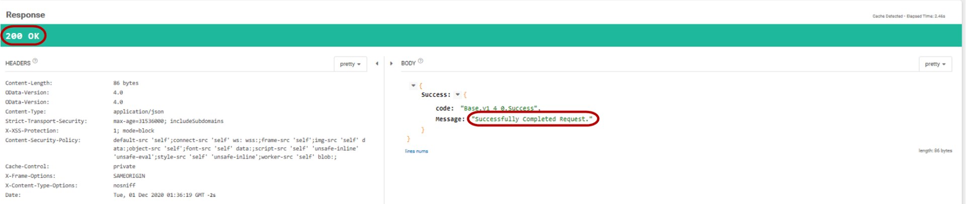 Software License Key Activation Usage